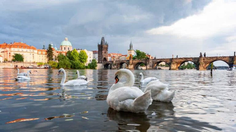 La Cecoslovacchia: due popoli in uno Stato - Vivere In Cechia